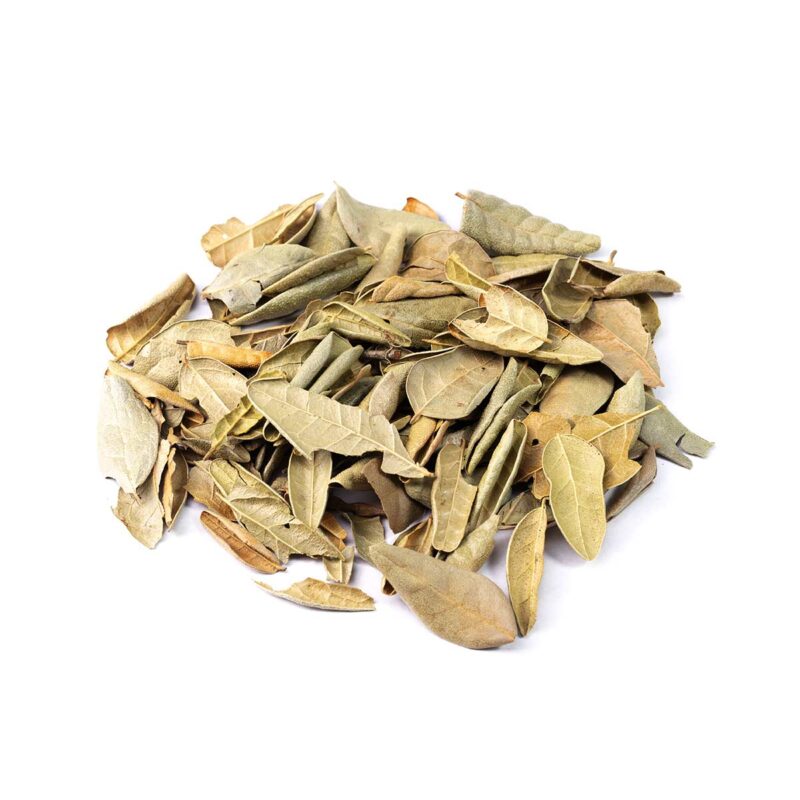 Boldo 1 kg - LA PEREGRINA